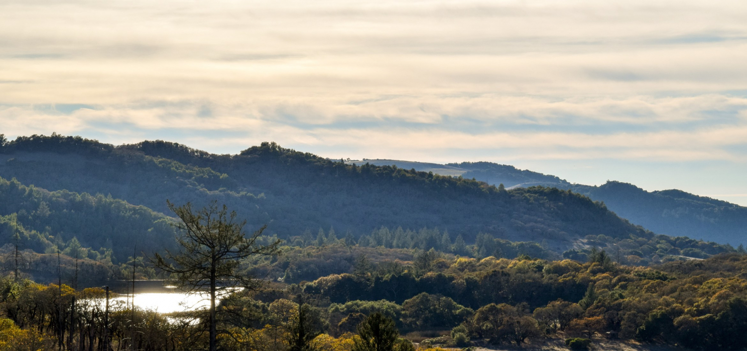 Ledson Marsh Spillway Improvement Project at Trione- Annadel State Park ...